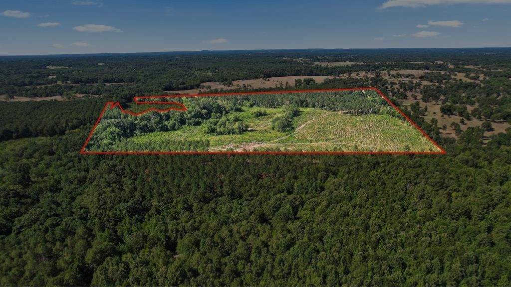 73.9 acres in Camp County, Texas