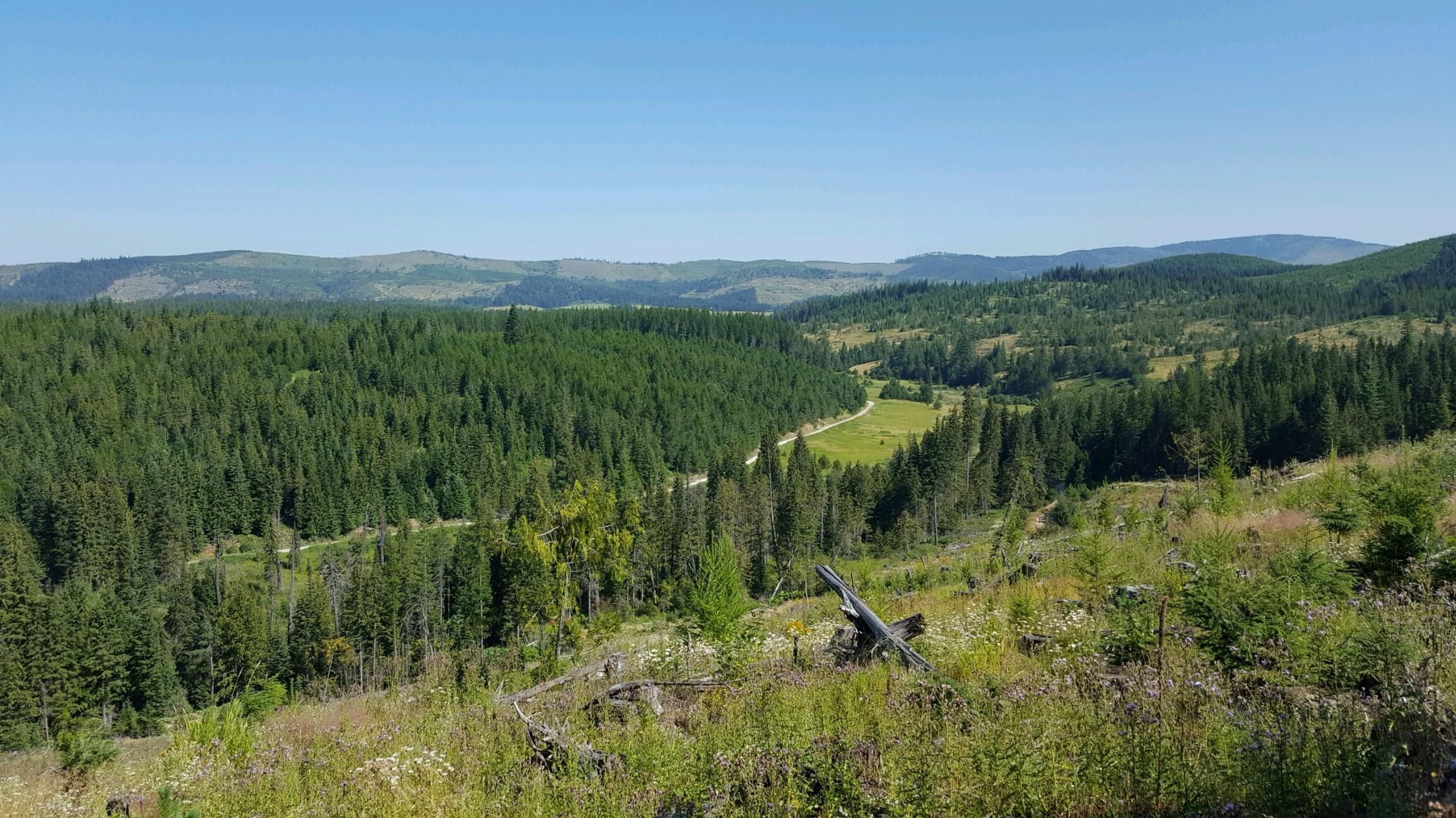 5.1 acres in Benewah County, Idaho