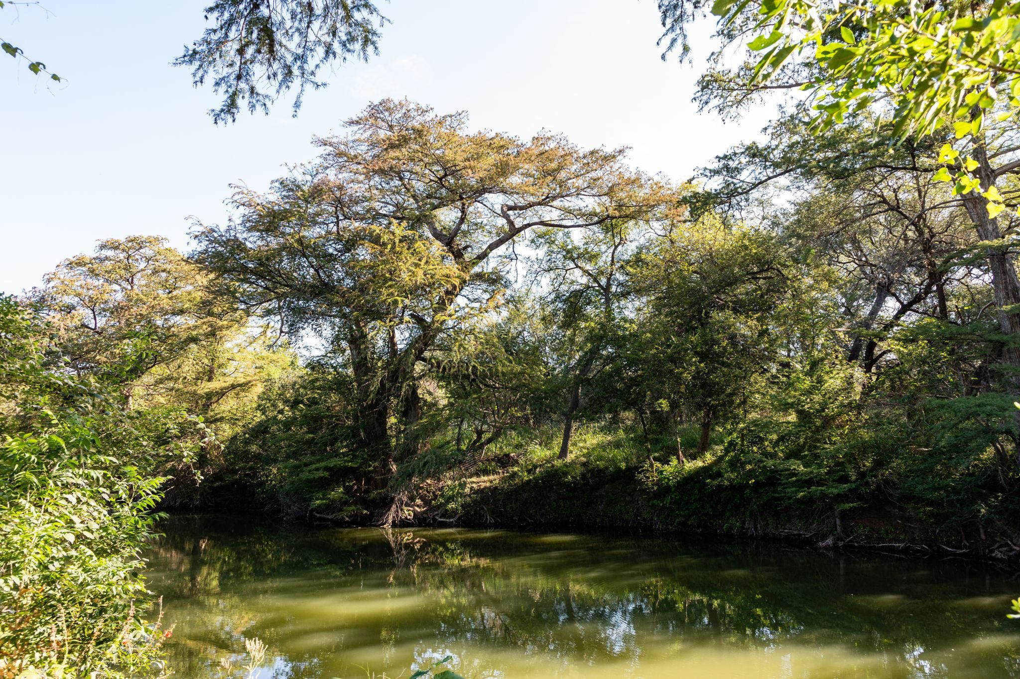 CR 314, Sabinal, TX 78881 | Land.com