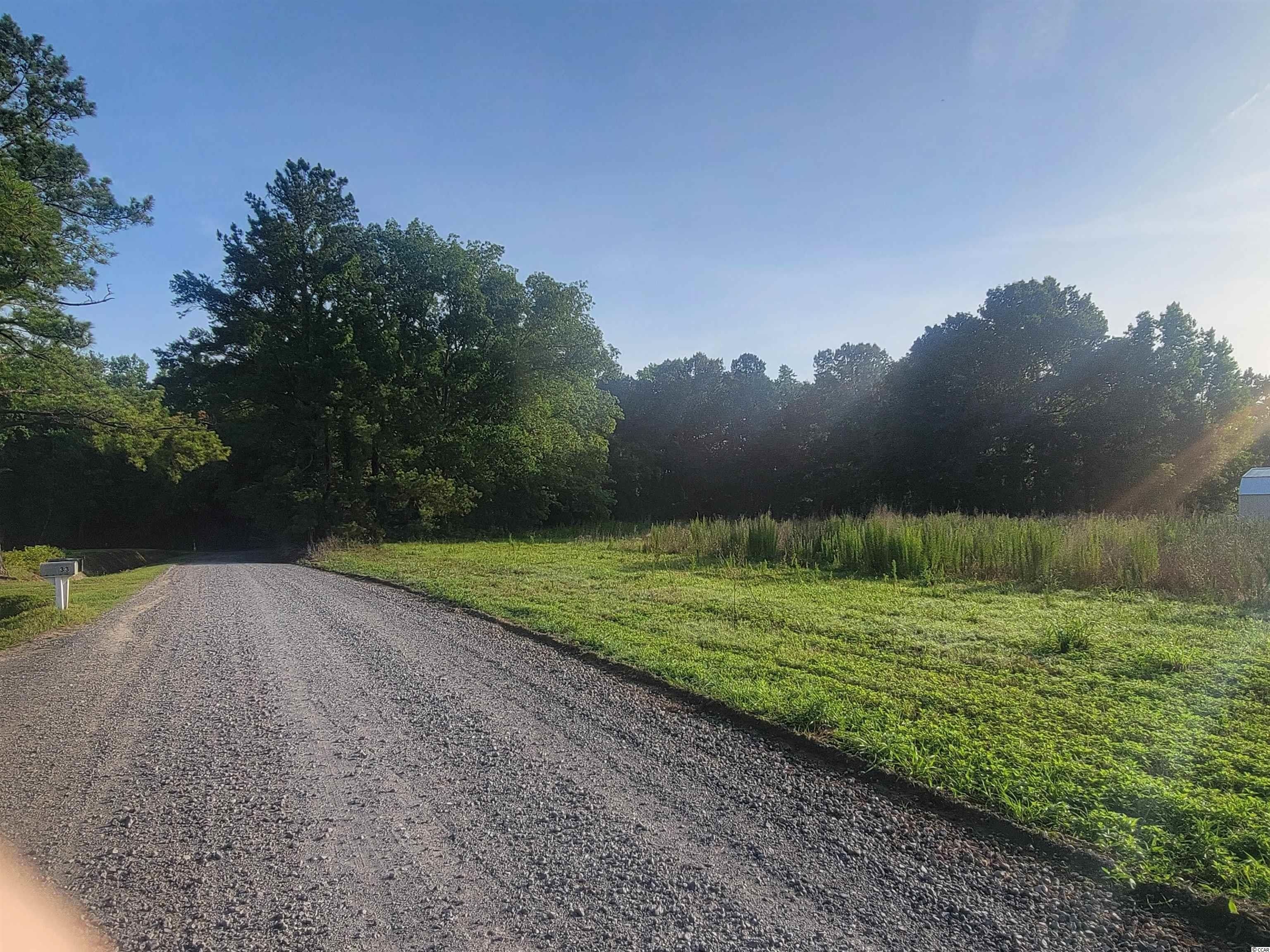3 acres in Williamsburg County, South Carolina