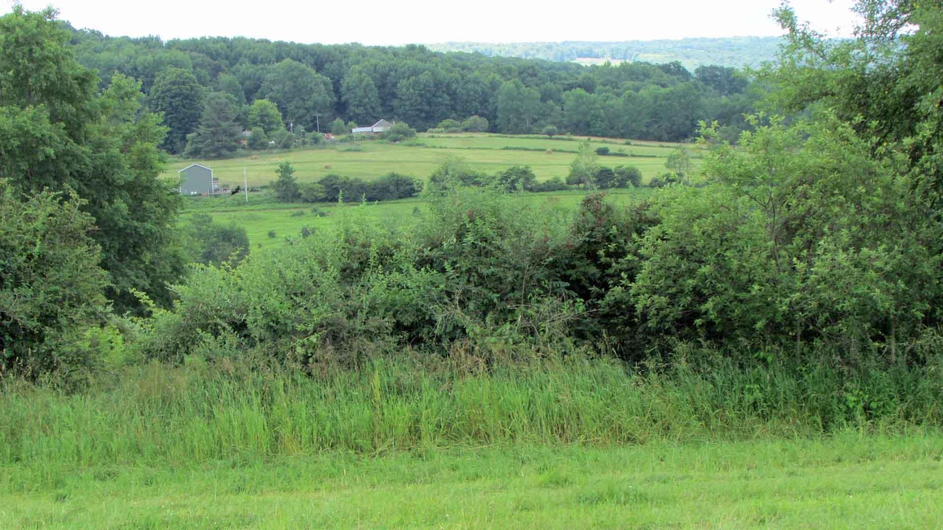 442 Bardin Road, Mount Vision, NY 13810 | MLS: 173.00-1-49.00 | Land.com