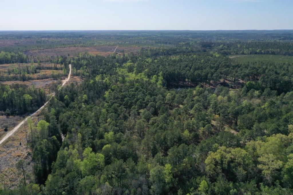 128 acres in Richmond County, North Carolina