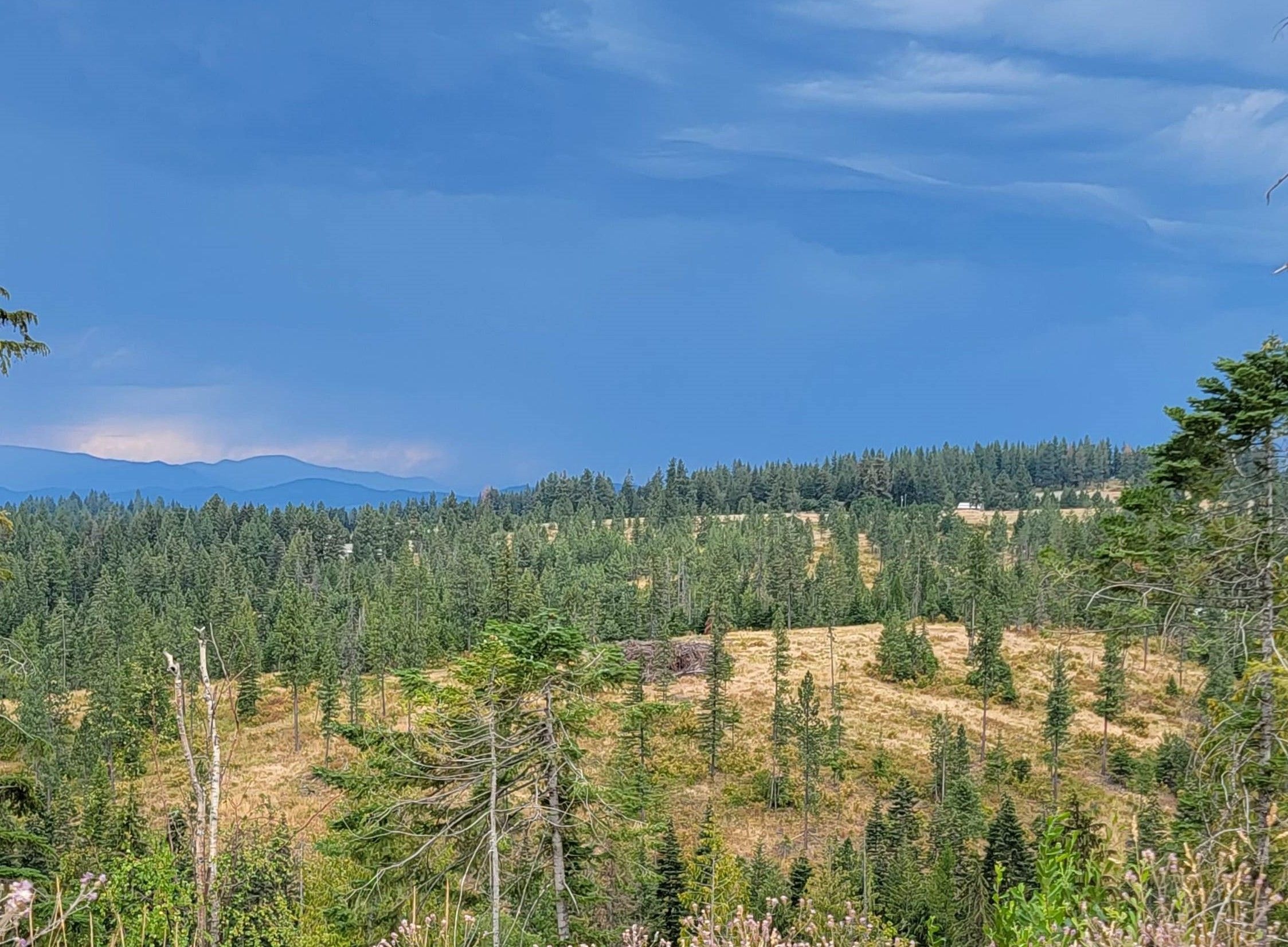 250 acres in Spokane County, Washington