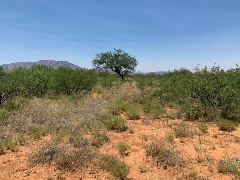 1.07 acres in Cochise County, Arizona