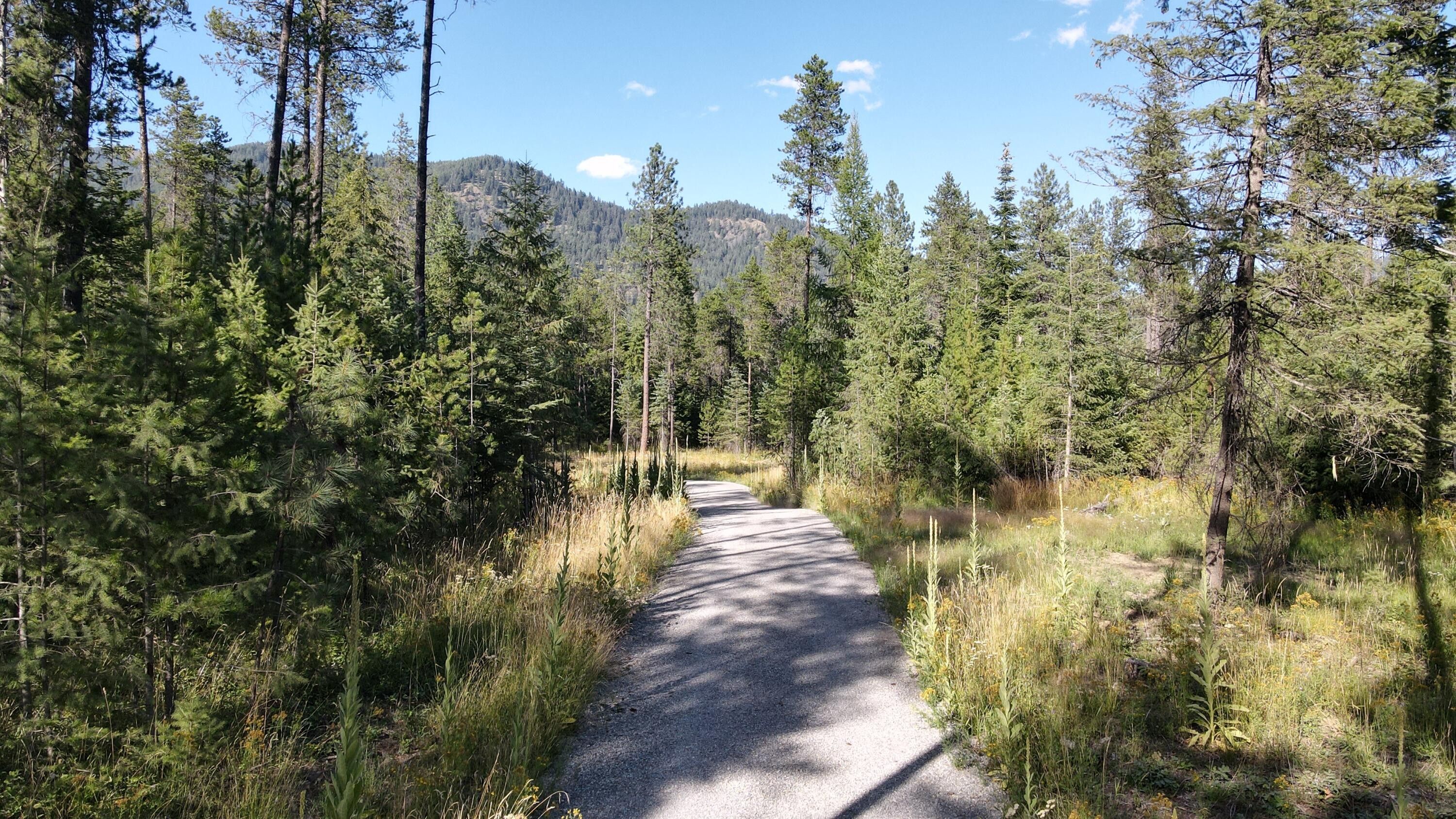 3 acres in Sanders County, Montana