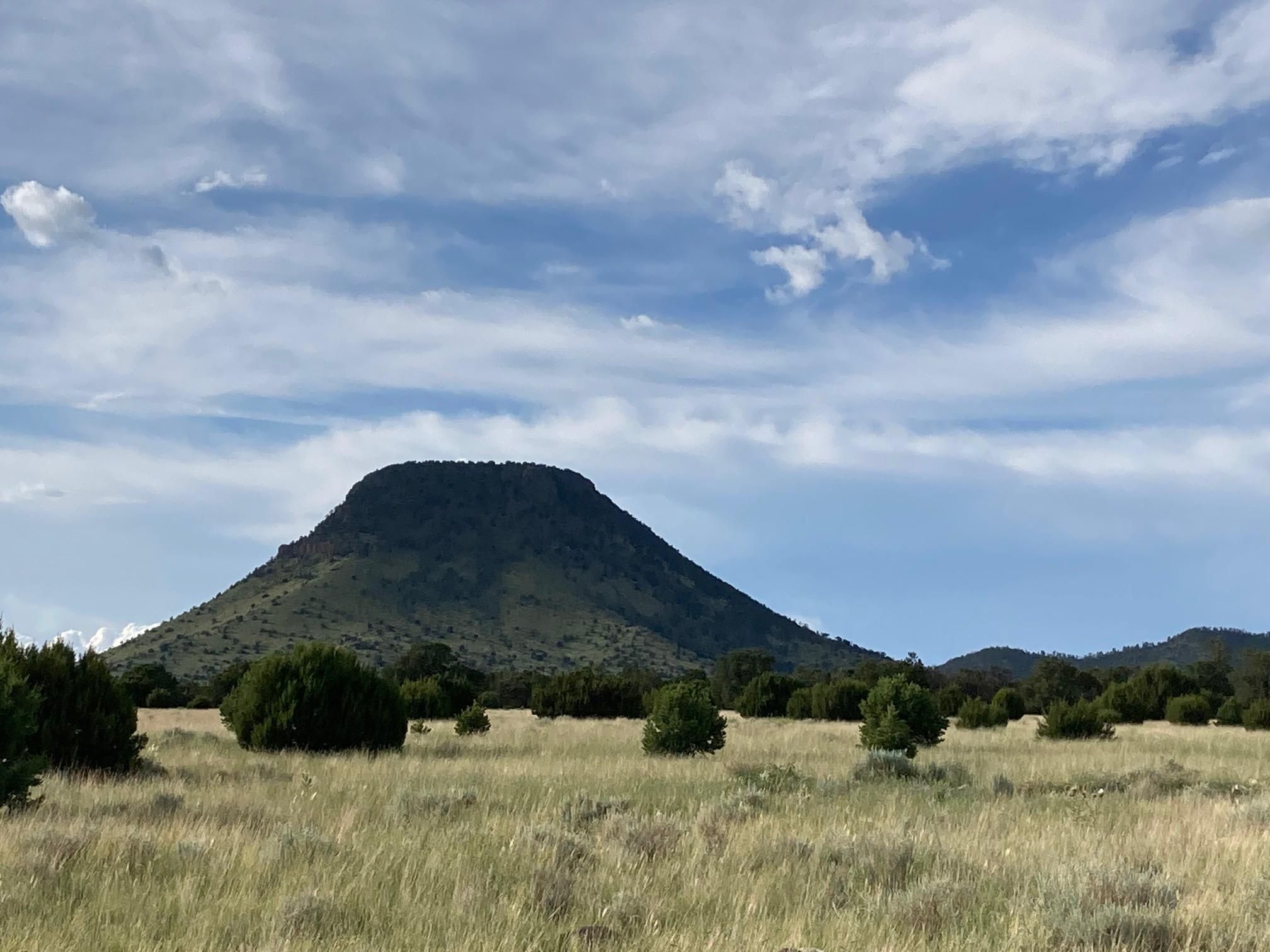 10.07 acres in Catron County, New Mexico