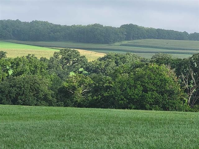 42.18 acres in Green County, Wisconsin