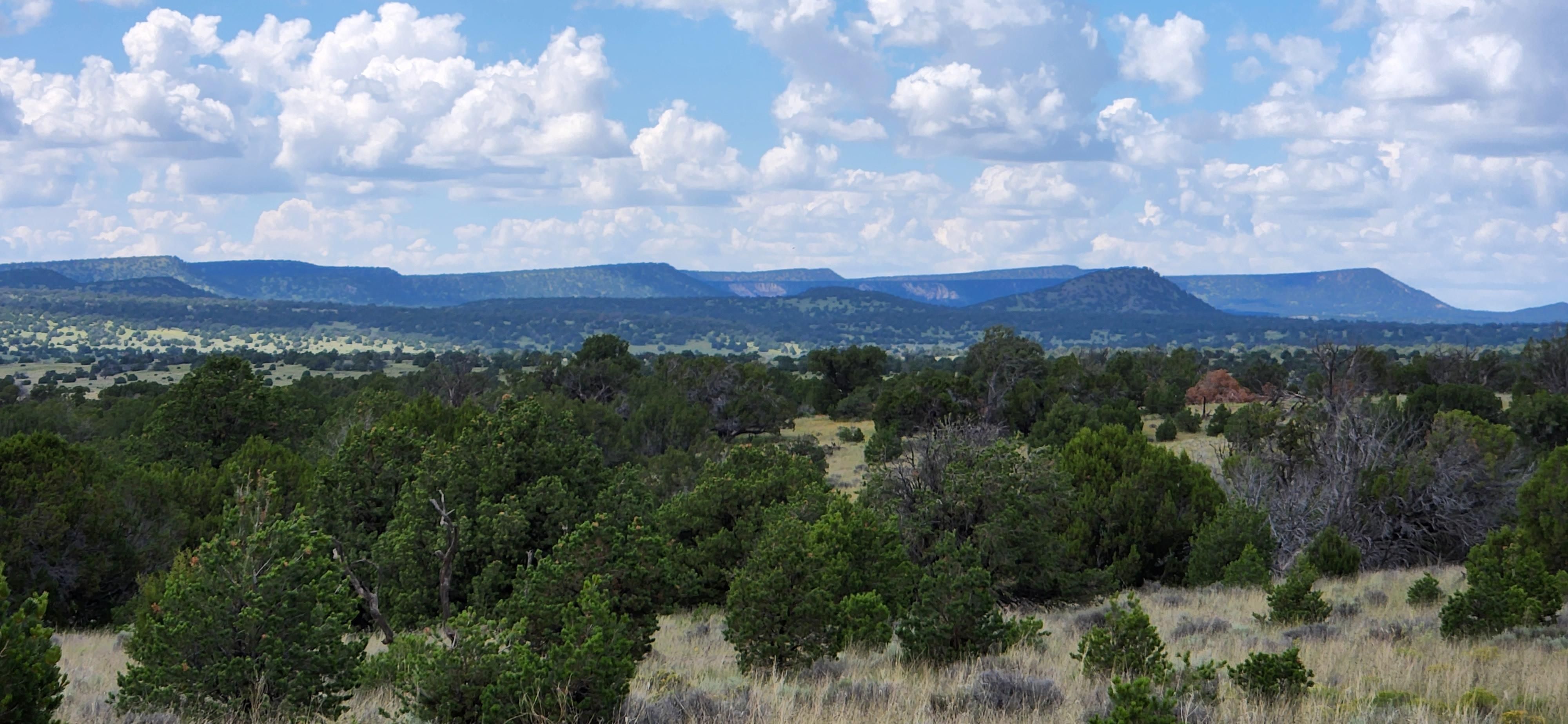236.86 acres in Catron County, New Mexico
