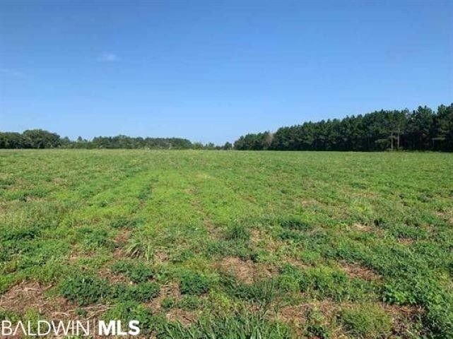 3 acres in Baldwin County, Alabama