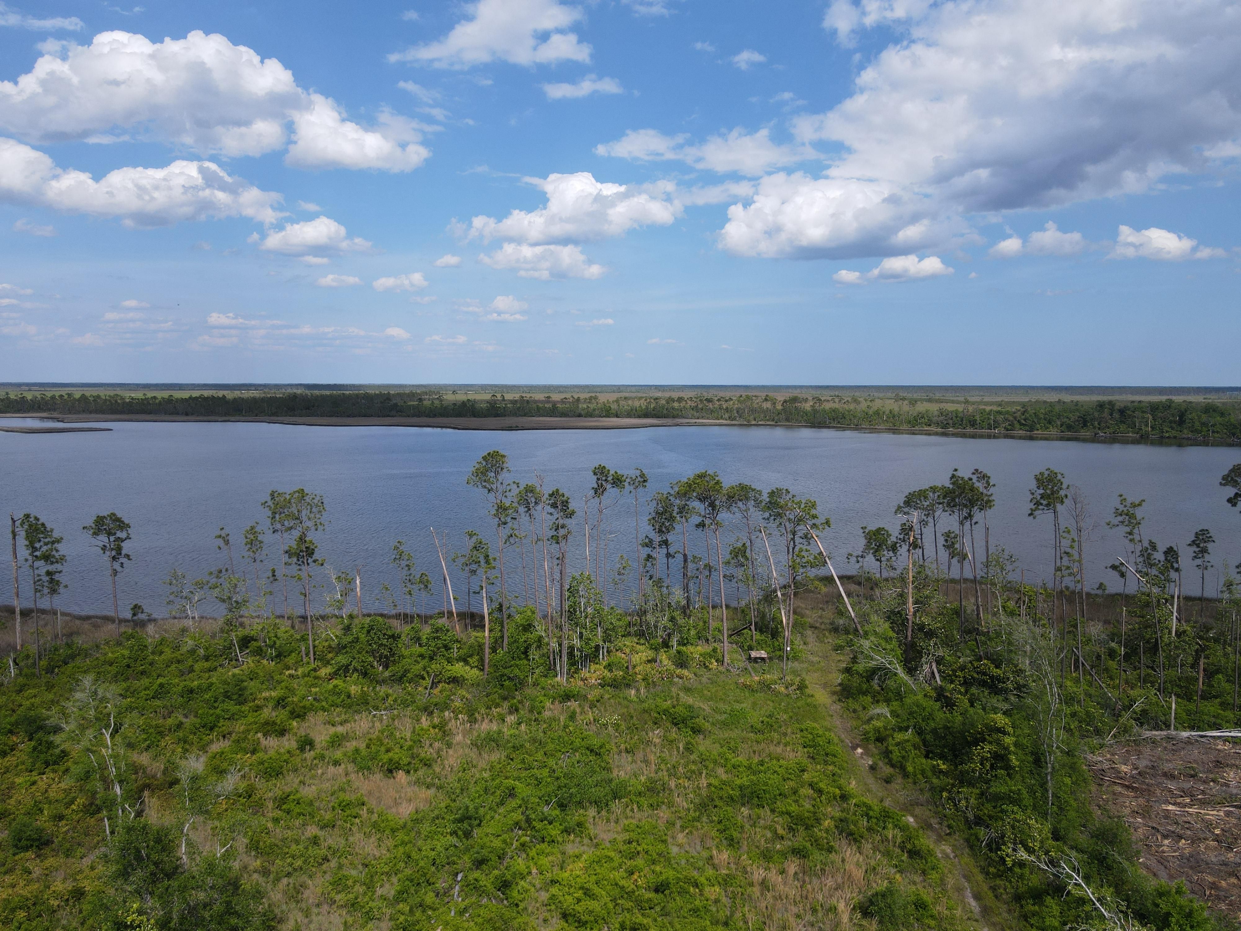 Alvie Holmes Road, Panama City, FL 32404 | MLS: 729866 | Land.com
