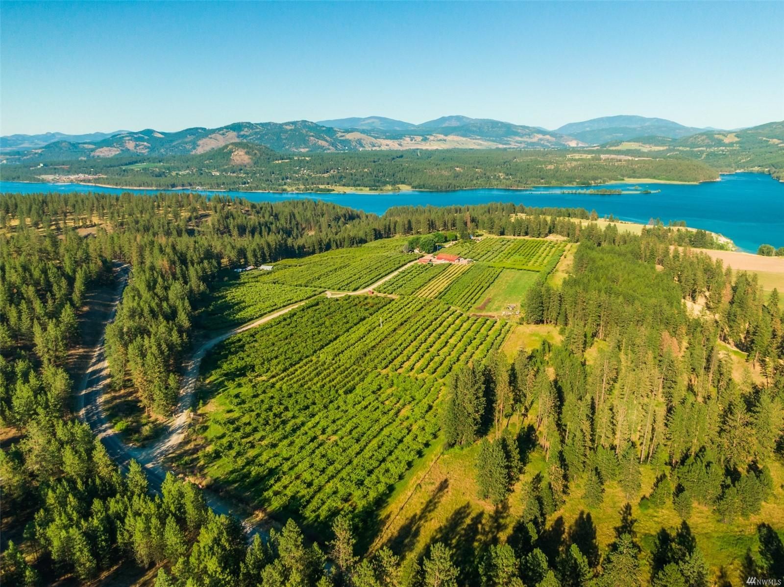 32 Apple Tree Drive, Kettle Falls, WA 99141 | MLS: 1985343 | Land.com