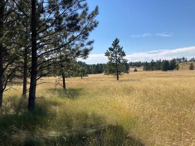 5.64 acres in Custer County, South Dakota