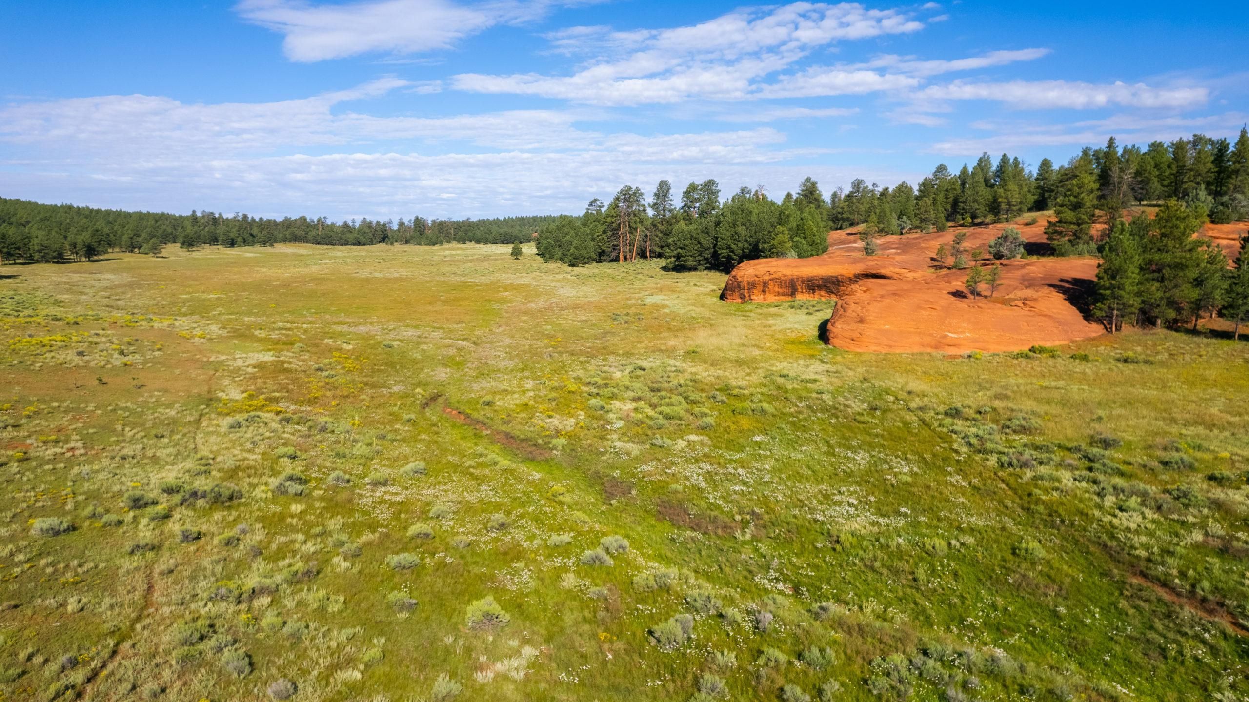 7,540 acres in Cibola County, New Mexico