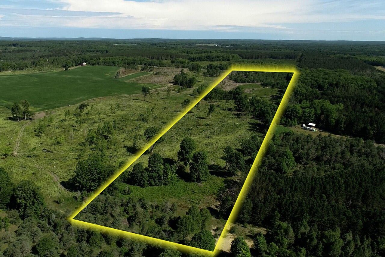 40 acres in Wexford County, Michigan