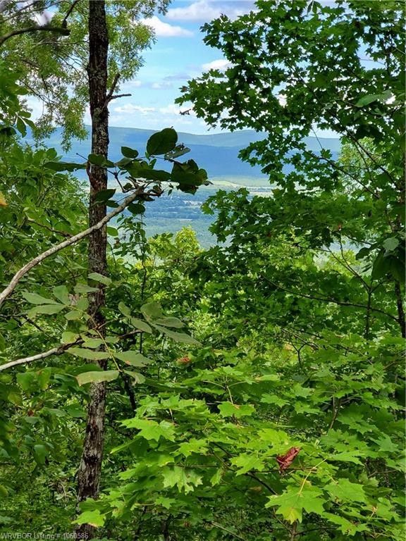 20 acres in Le Flore County, Oklahoma