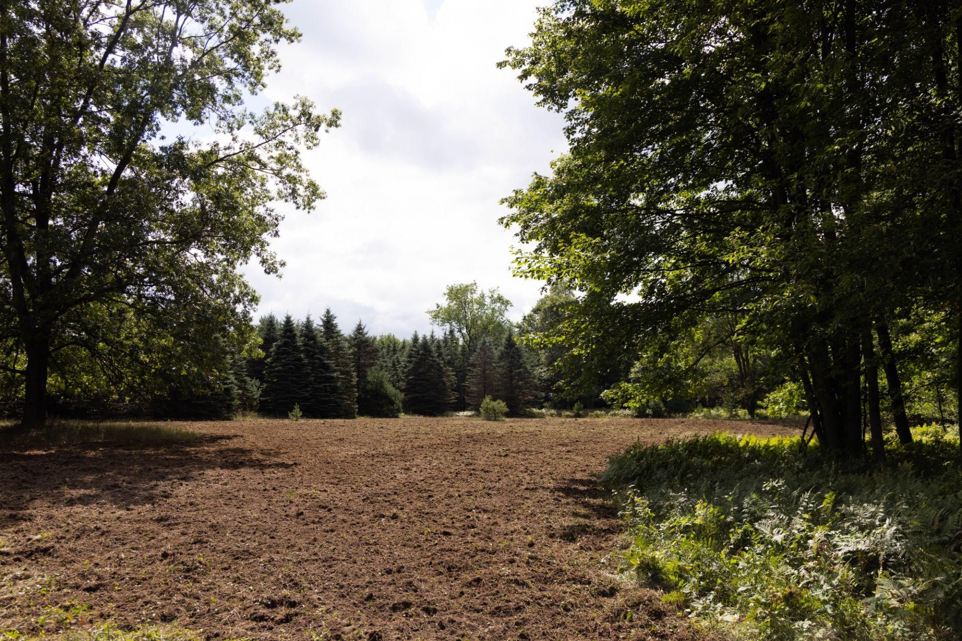 40 acres in Oceana County, Michigan