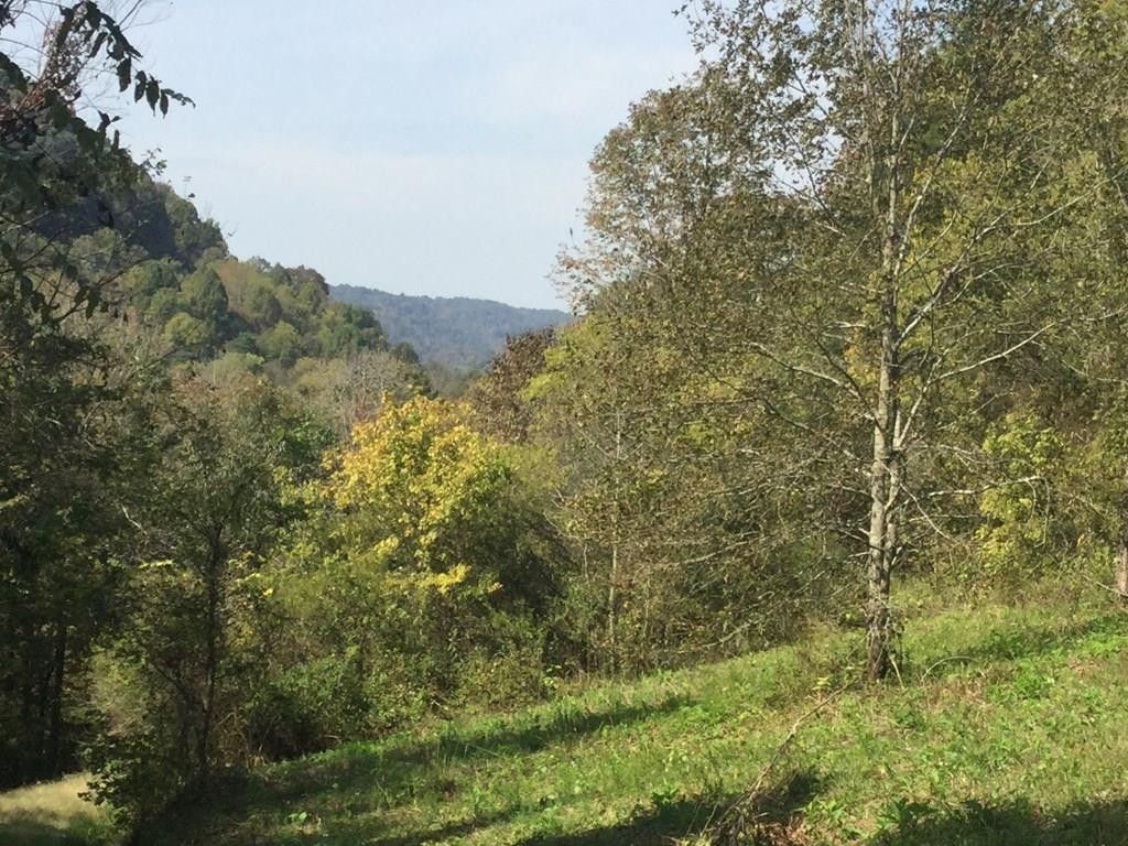 51 acres in Jackson County, Tennessee