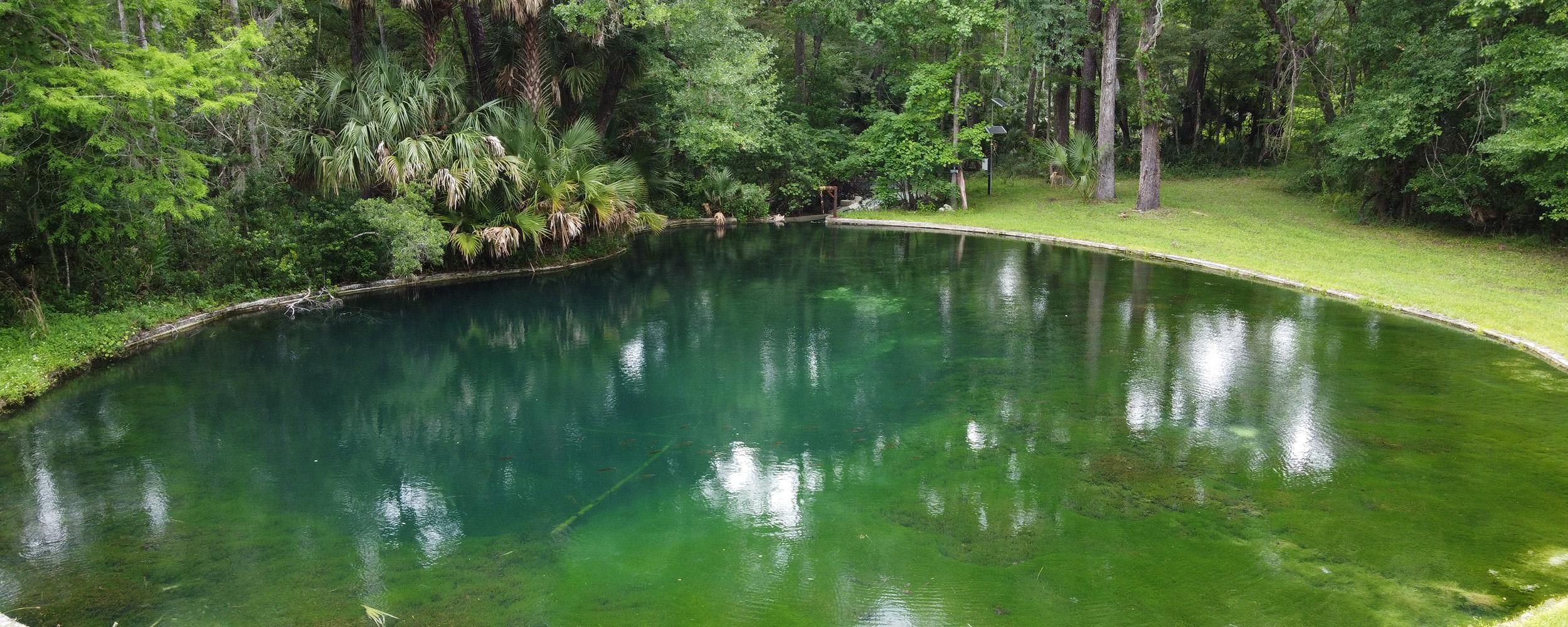 24627 State Highway 21, Orange Springs, FL 32182 | Land.com