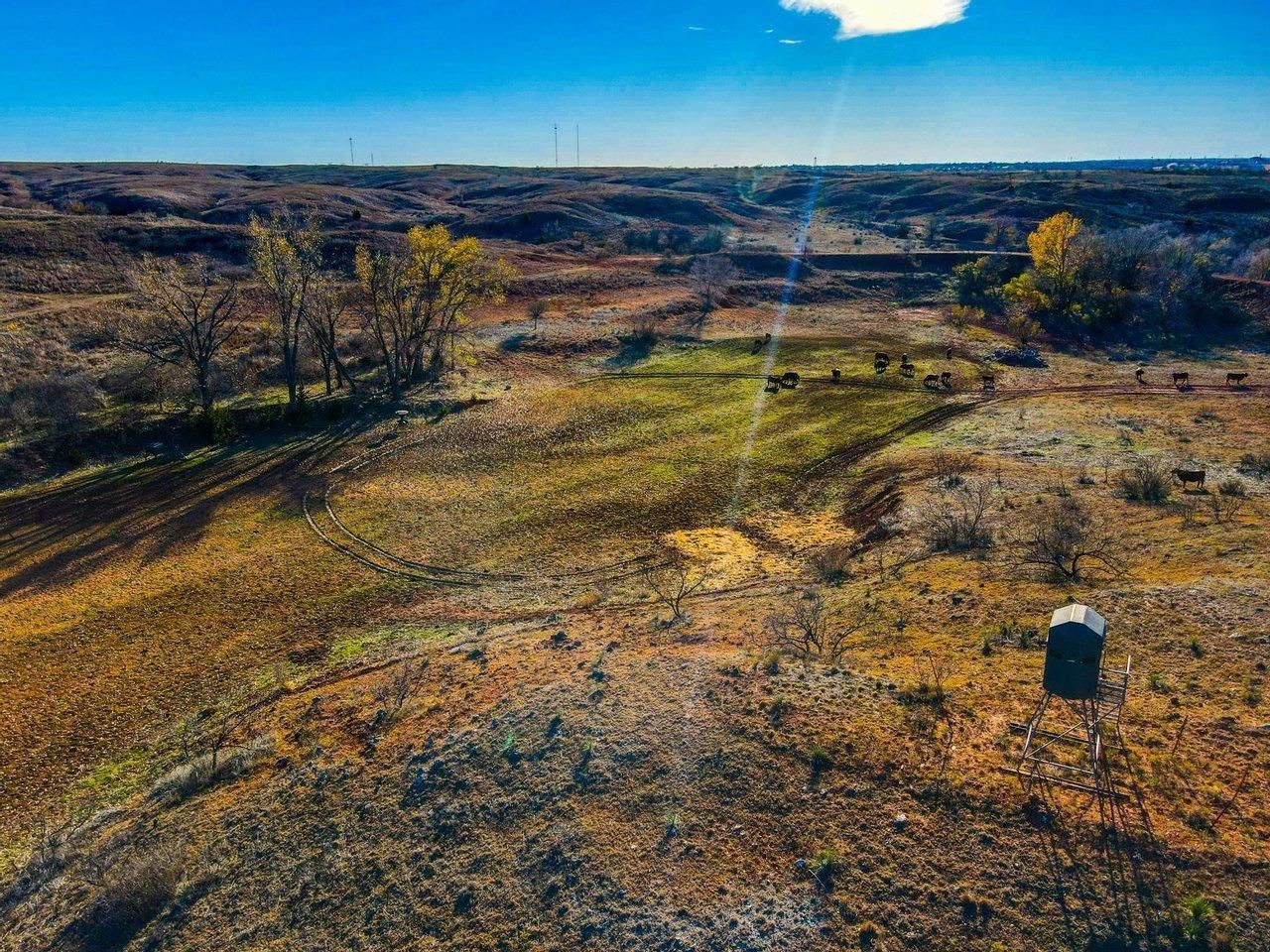6555 COUNTY ROAD 19, Shamrock, TX 79079 | Land.com