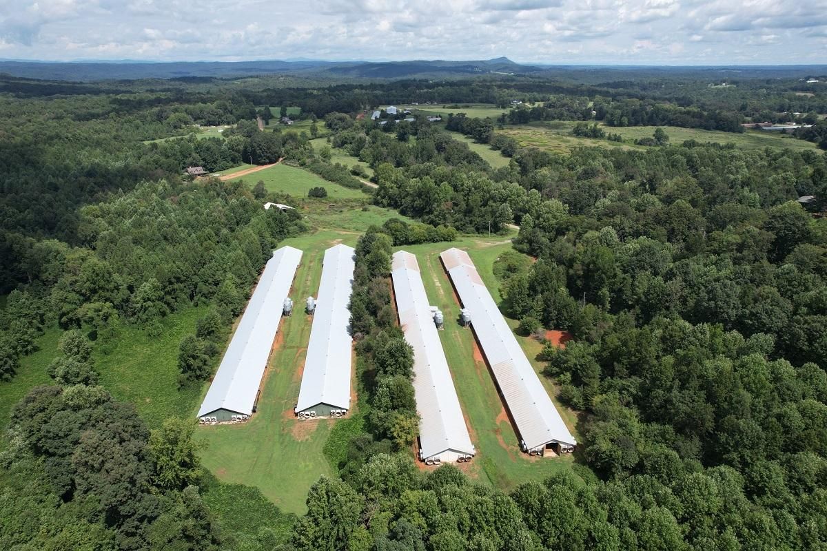 24 acres in Banks County, Georgia
