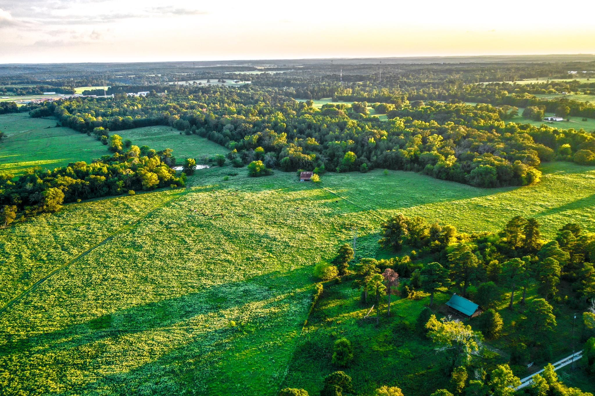 295.25 acres in Winona, TX, 75792 | MLS: Diverse Acreage Tract with Log ...