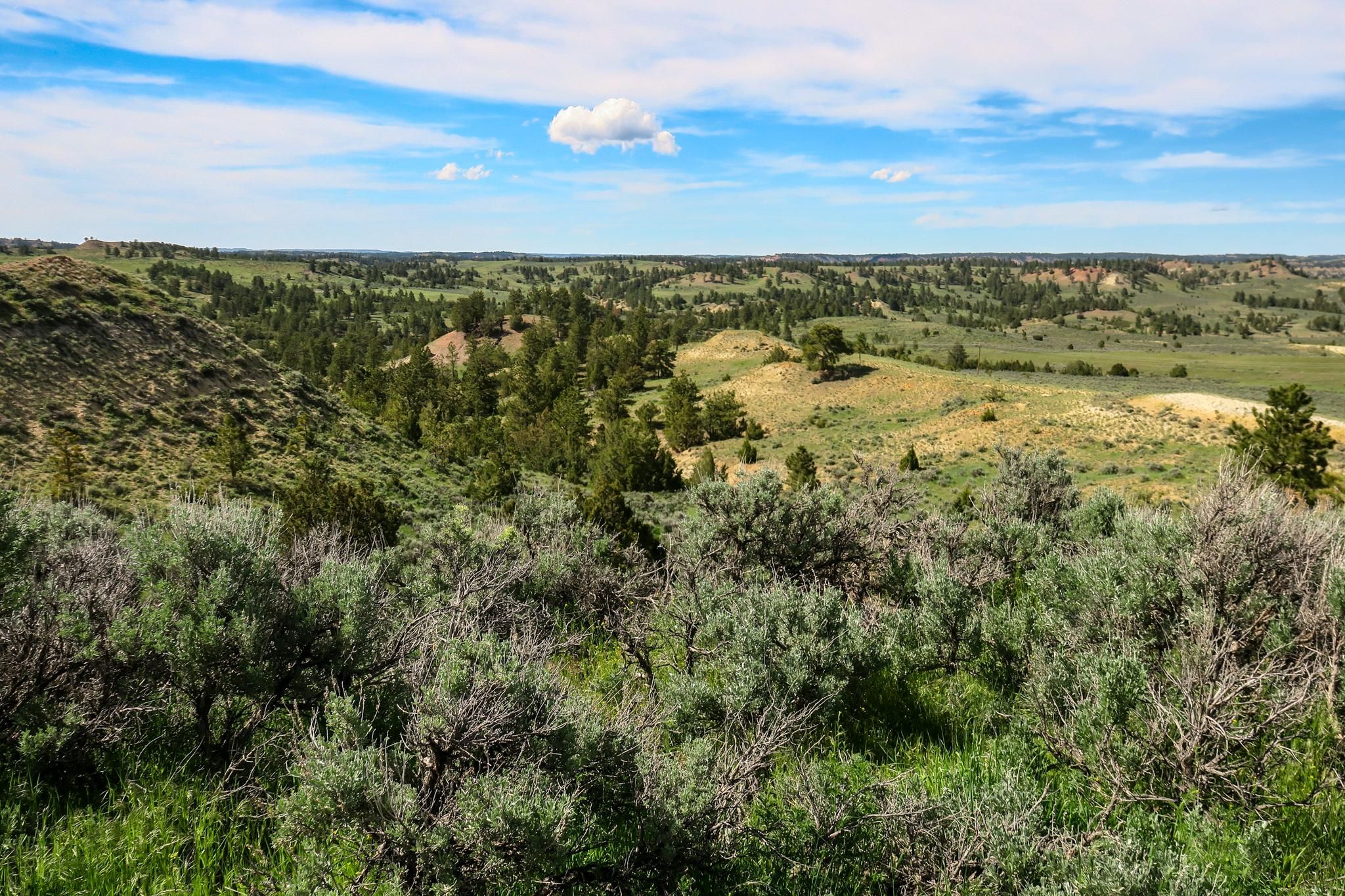479 Bitter Creek Road, Recluse, WY 82725 | MLS: Elk Haven Ranch | Land.com