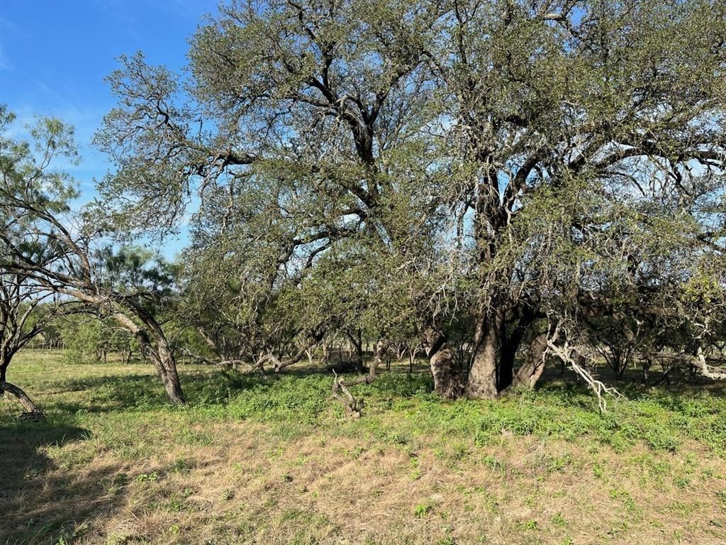 2.5 acres in Brown County, Texas