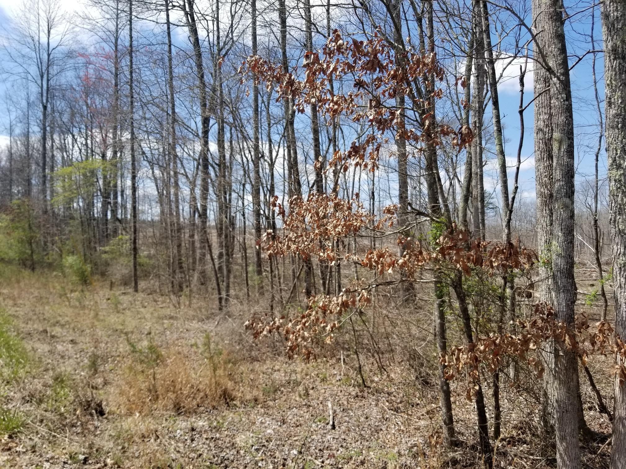 5 acres in Grundy County, Tennessee