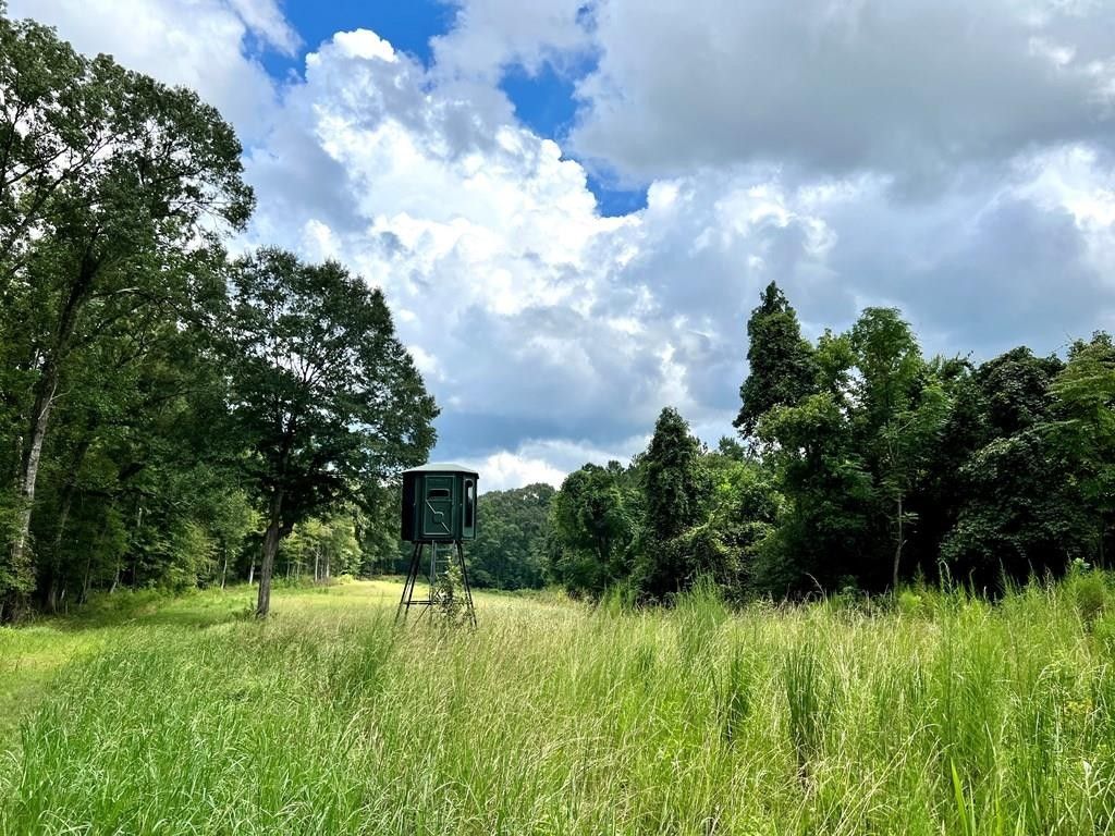 195 acres in West Feliciana Parish, Louisiana 195 acres in West Feliciana Parish, Louisiana