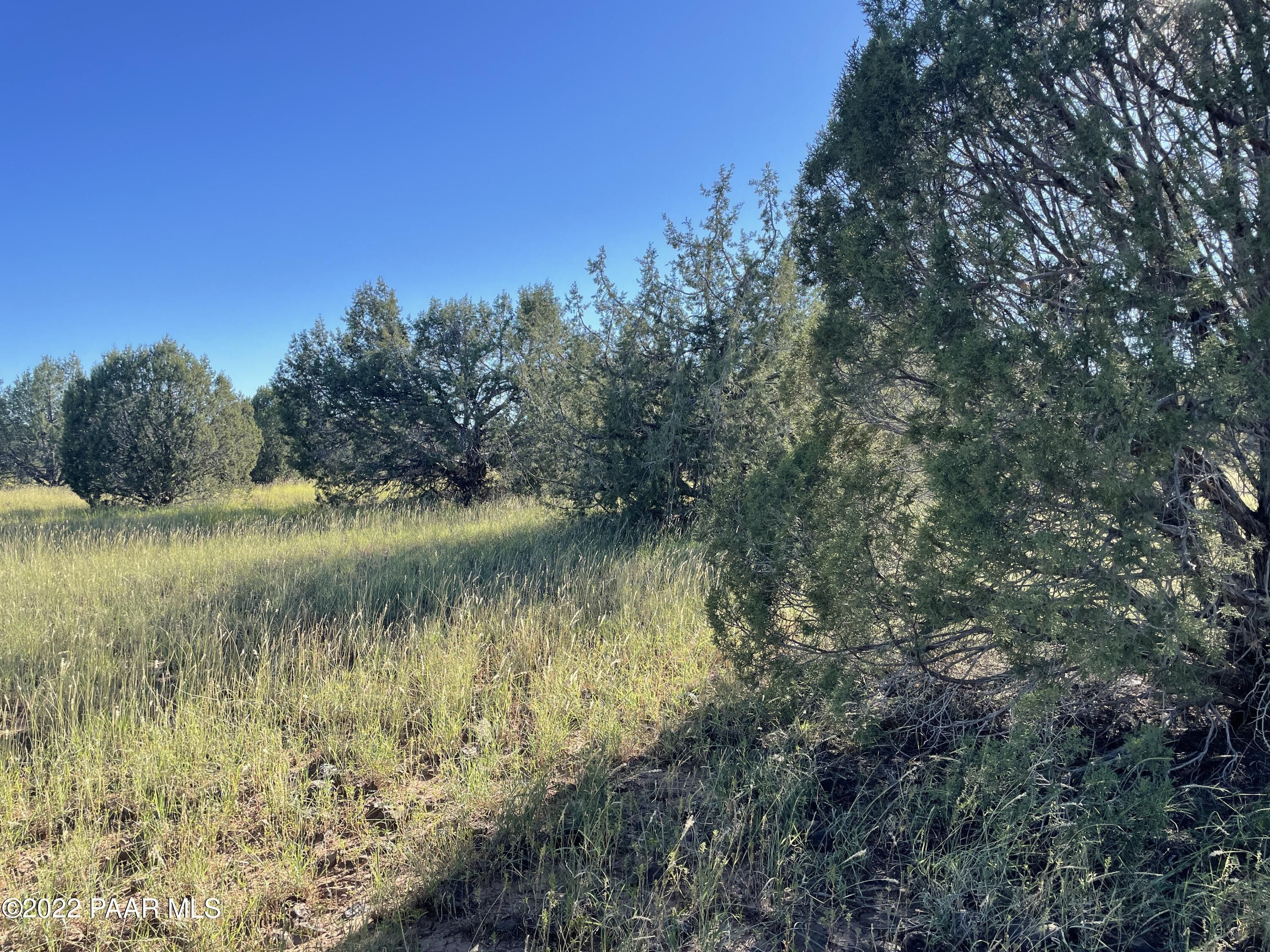 10.17 acres in Yavapai County, Arizona