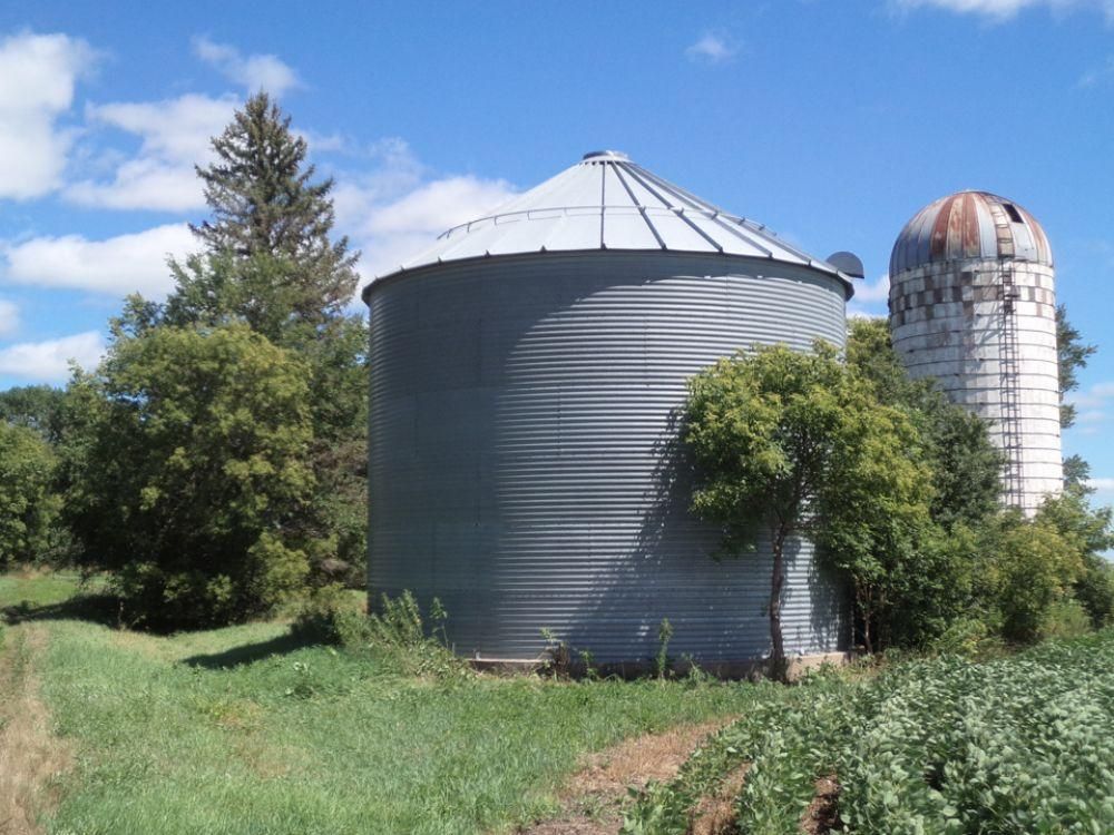 80 acres in Benson, MN, 56215 | Land.com