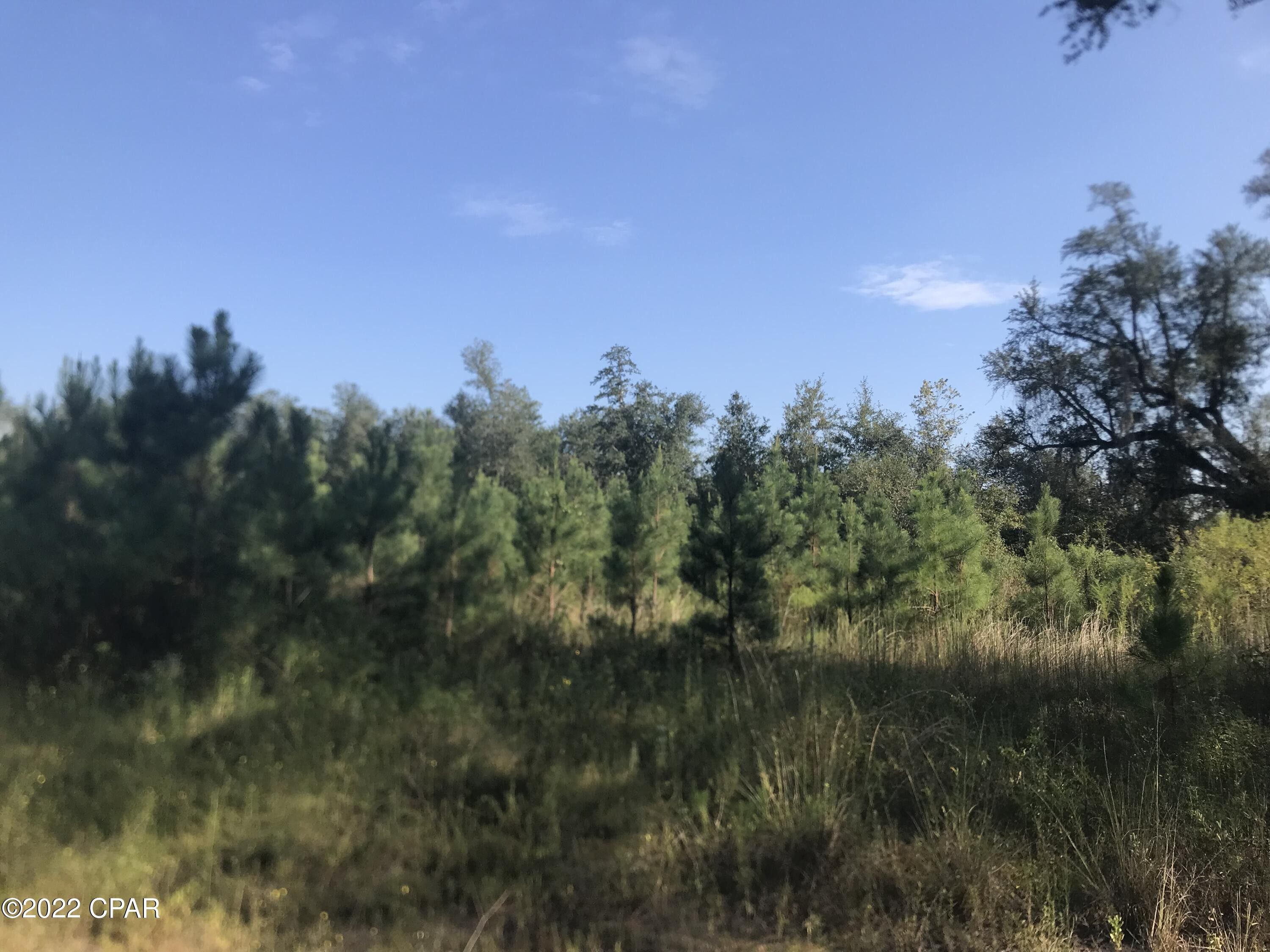 40 acres in Jackson County, Florida