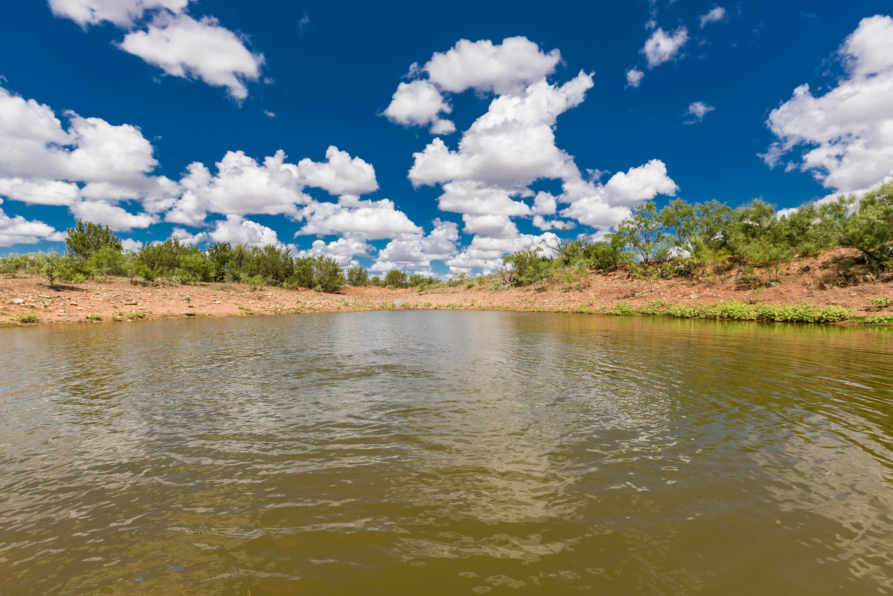 3164 County Rd 297, Bronte, TX 76933 | Land.com