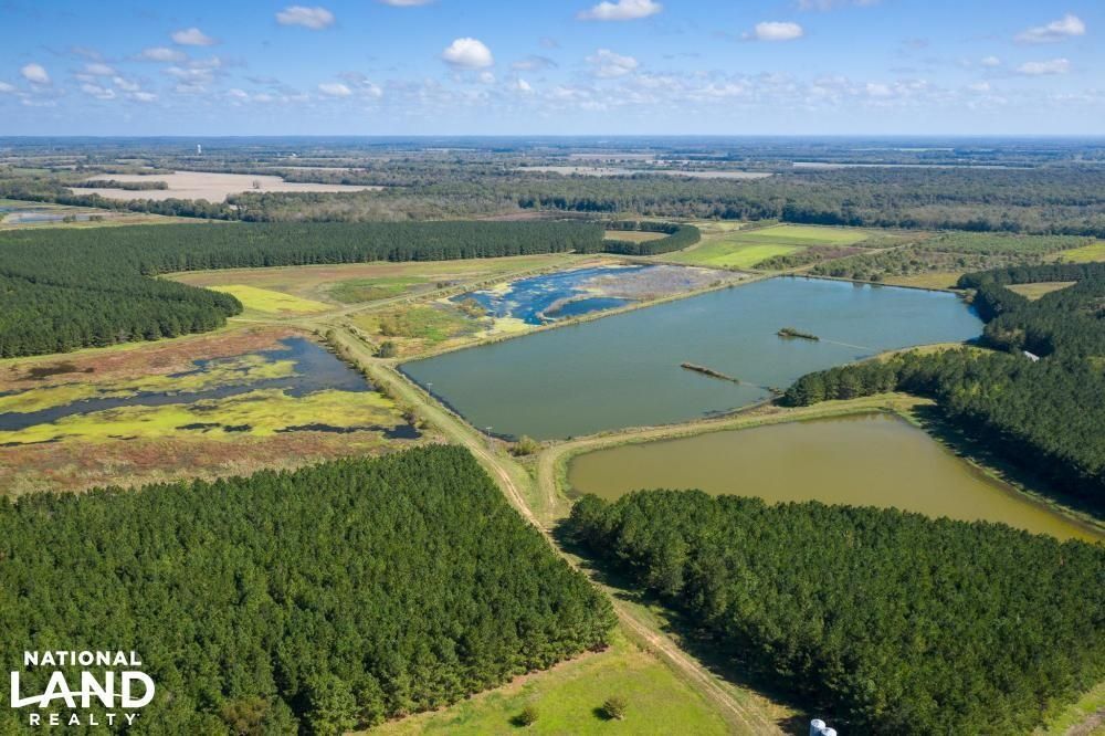 0 Highway 183, Uniontown, AL 36786 | Land.com