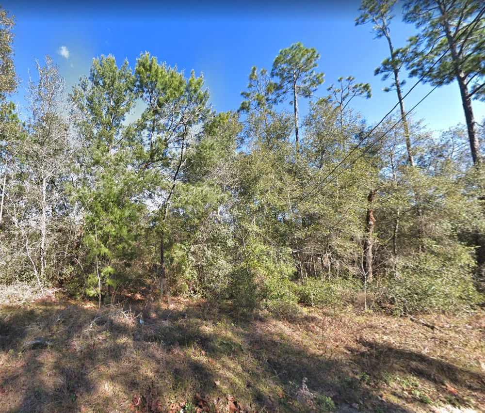 0.34 acres in Putnam County, Florida
