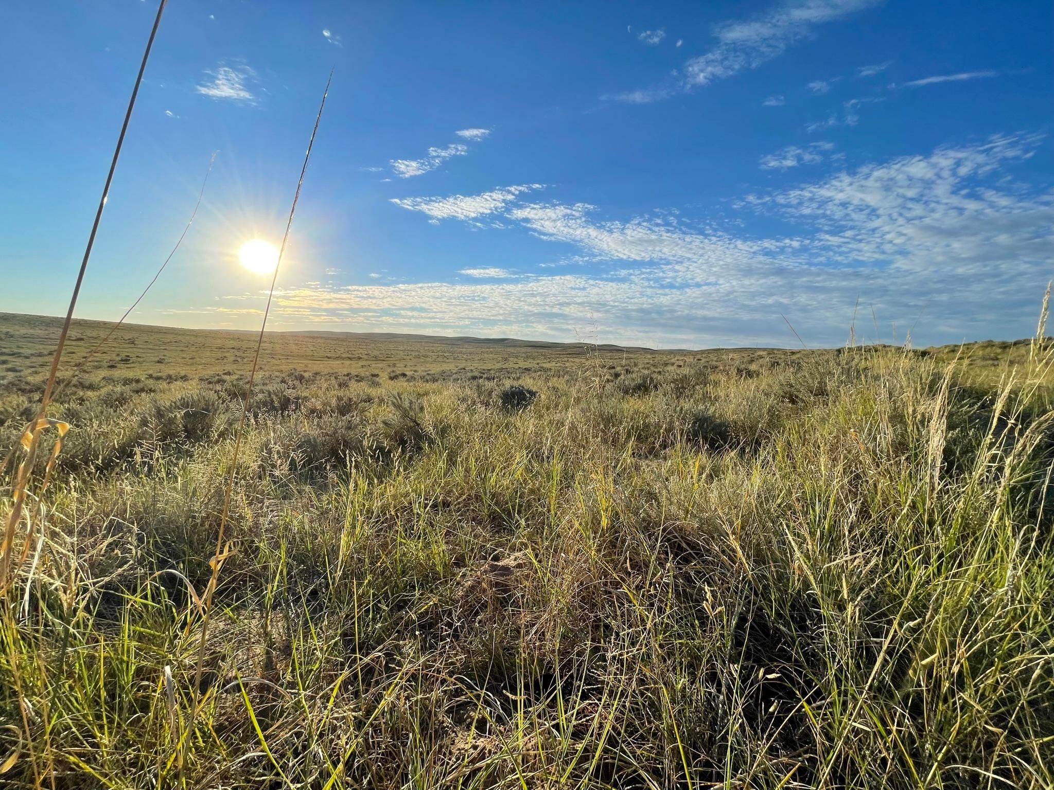 19,376 acres in Crook, CO, 80726 | MLS: Condon Ranch | Land.com