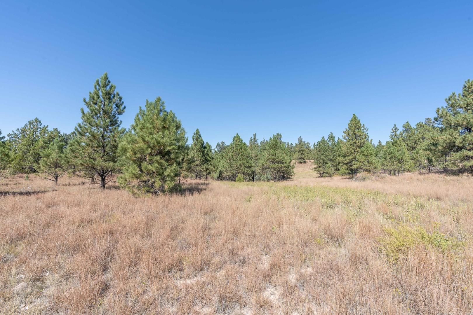 Big Sky 13 Elk Run Road, Custer, SD 57730 | MLS: 73955 | Land.com