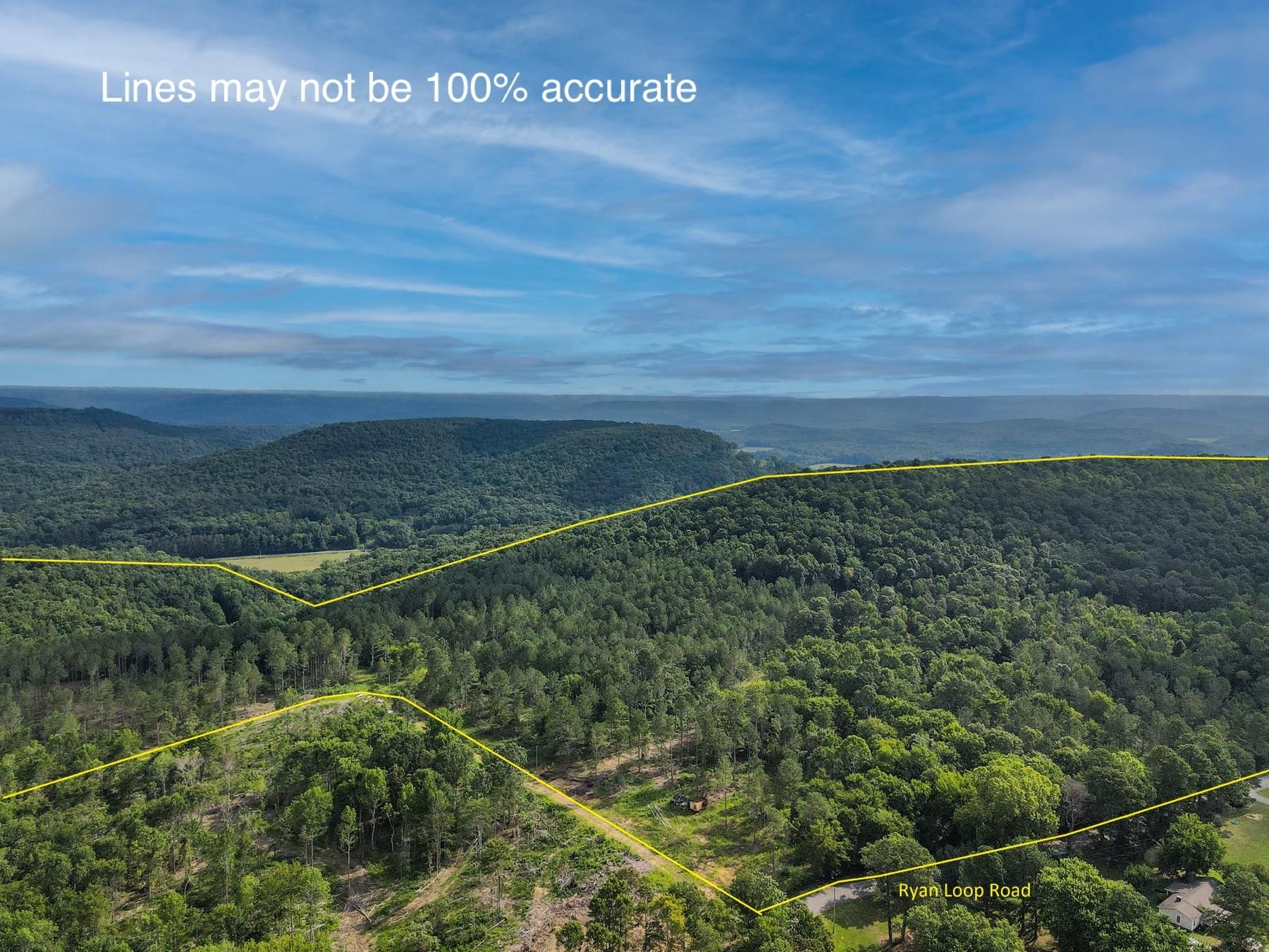 Ryan Loop Road, Baileyton, AL 35019 | MLS: 1814383 | Land.com