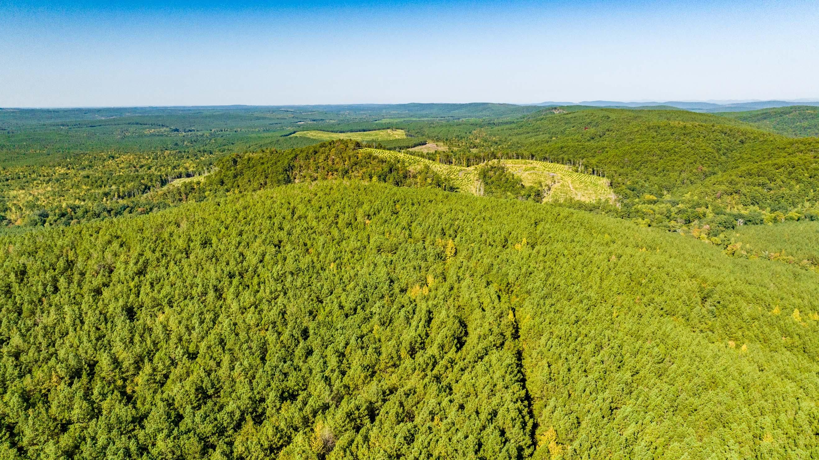 250 acres in Alpine, AR, 71921 | Land.com