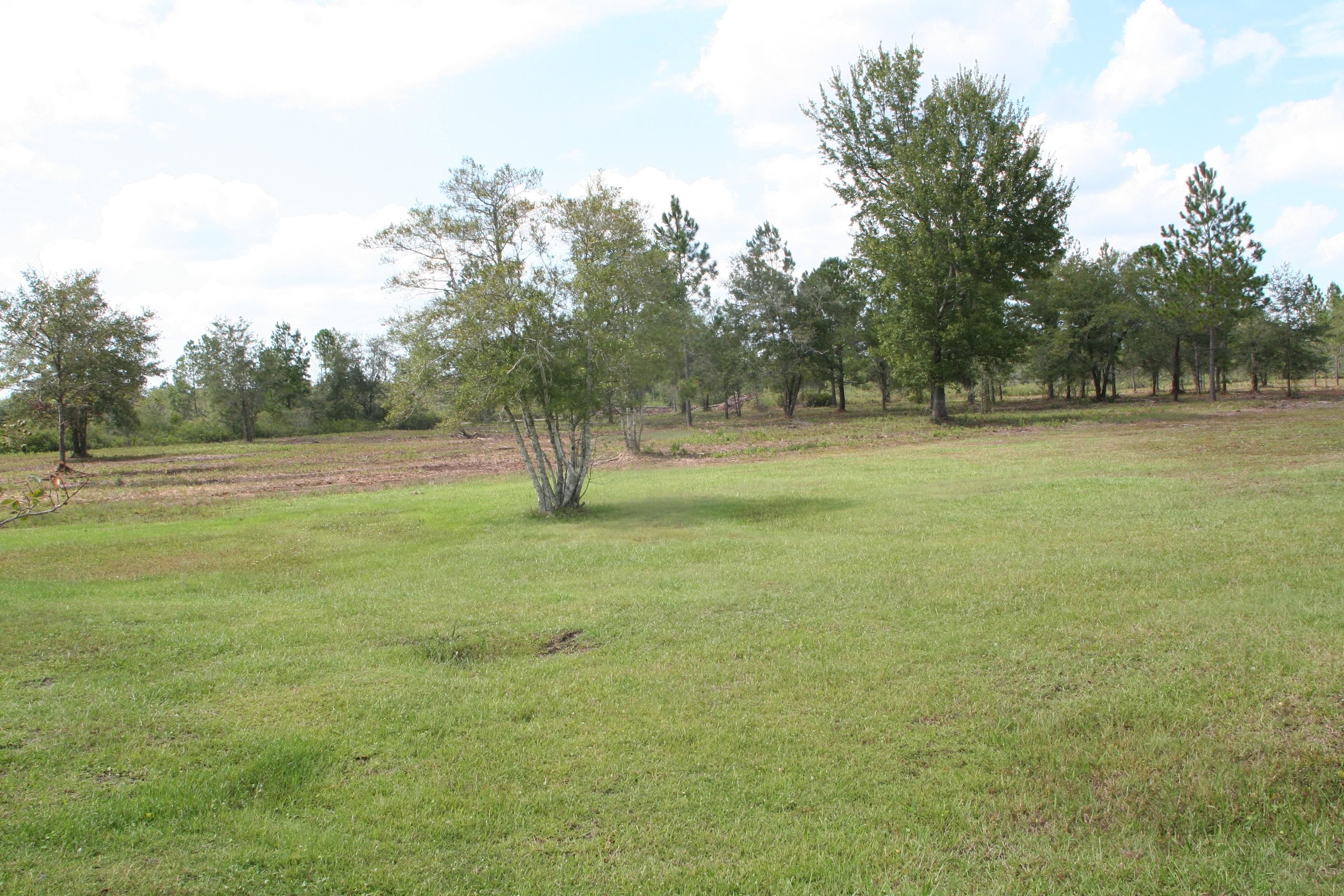 Folsom Rd, Sanderson, FL 32087 | MLS: 1193898 | Land.com