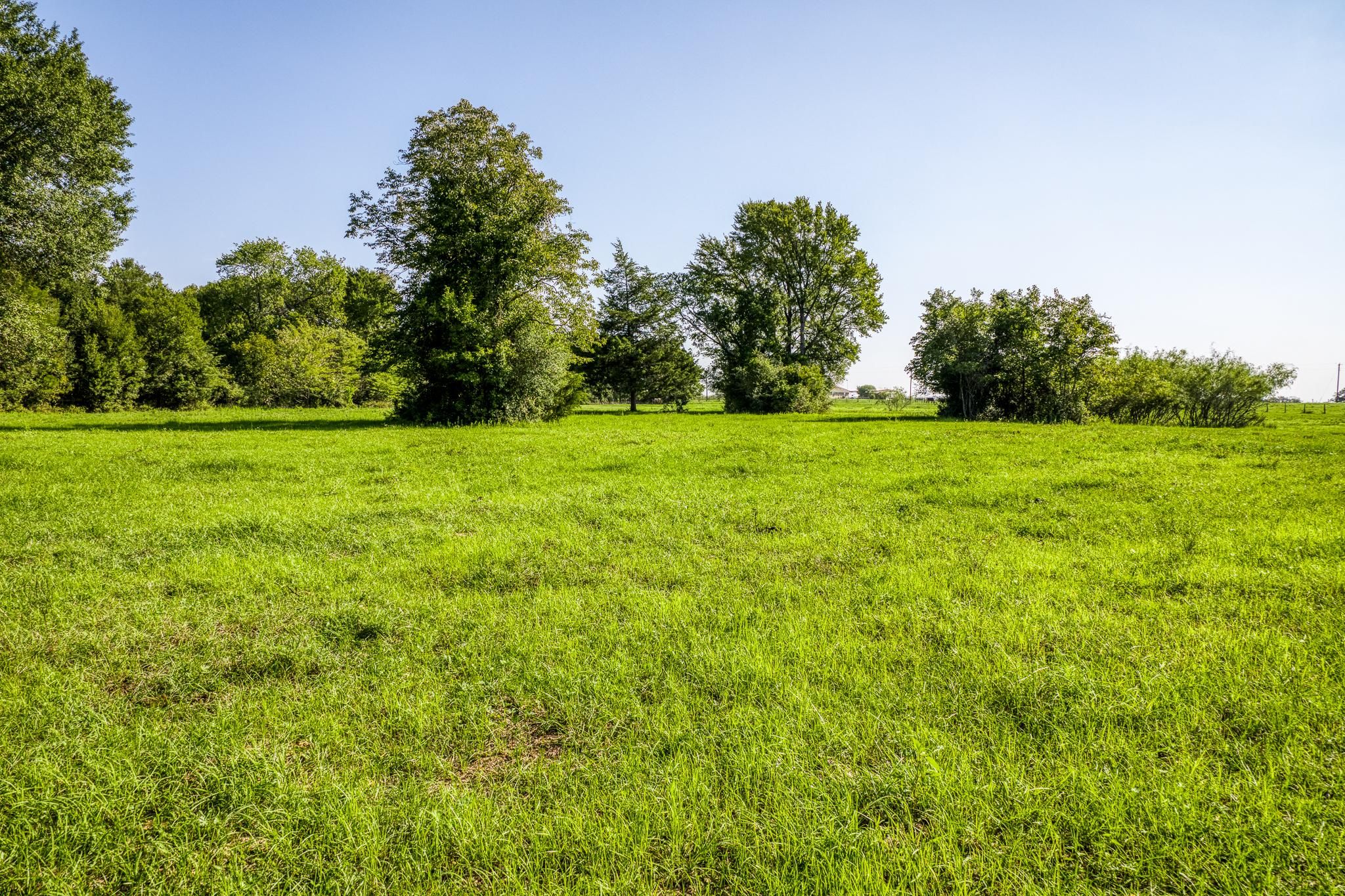 TBD (31.7ac) Davidson Branch Road, Caldwell, TX 77836 | Land.com