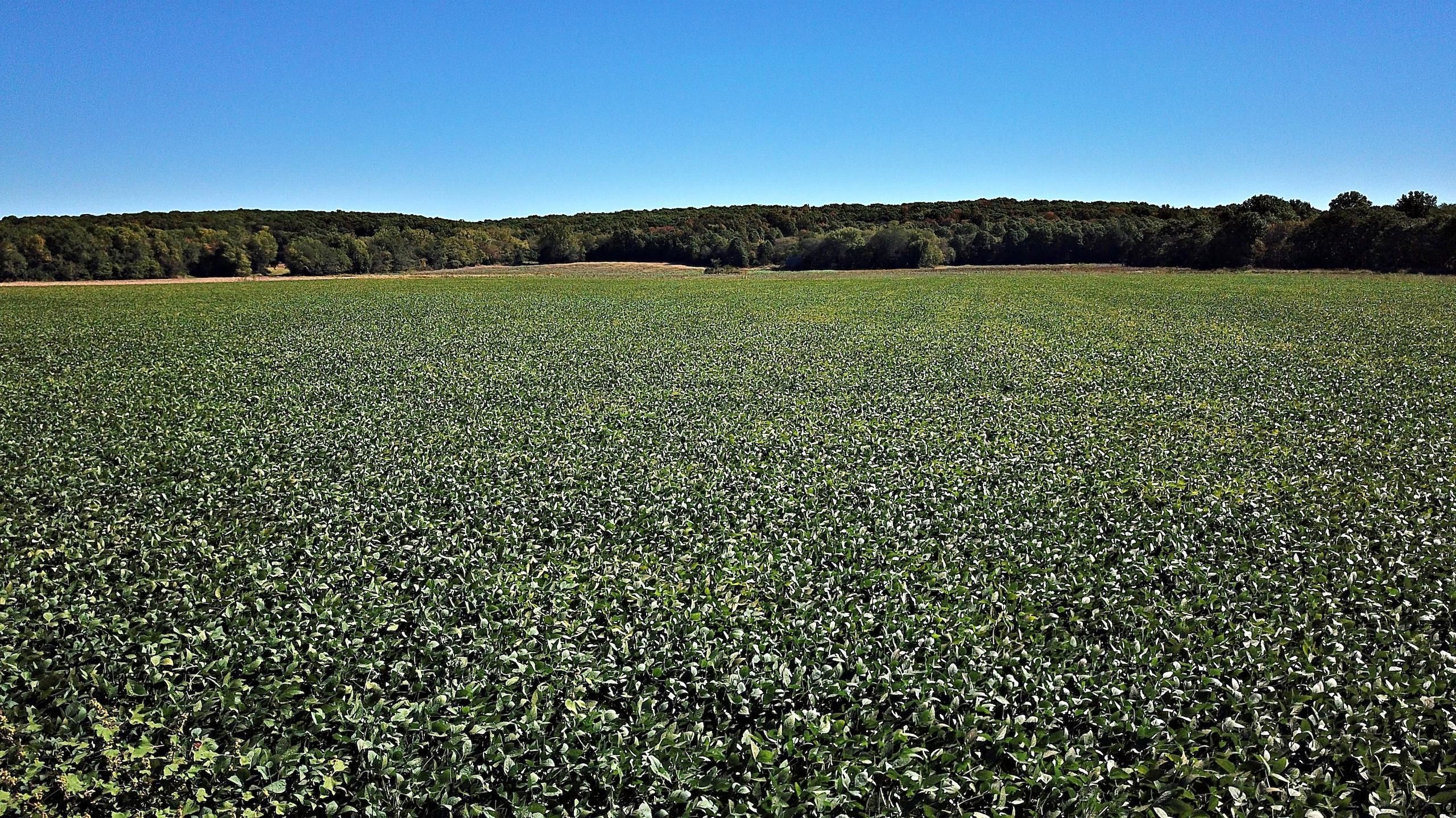 46 acres in Harrison County, Missouri