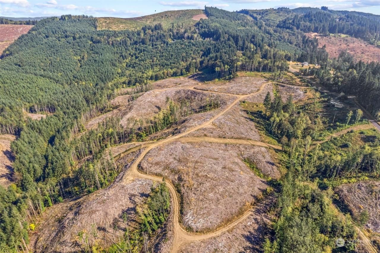 79 acres in Cowlitz County, Washington