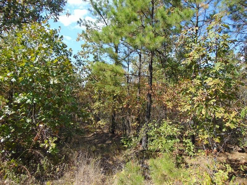 2.93 acres in Wister, OK, 74966 | Land.com