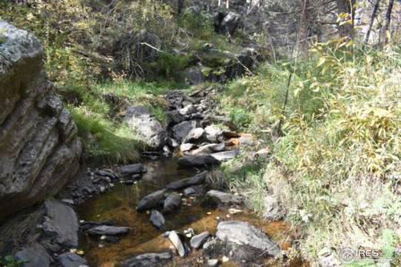 40 acres in Larimer County, Colorado