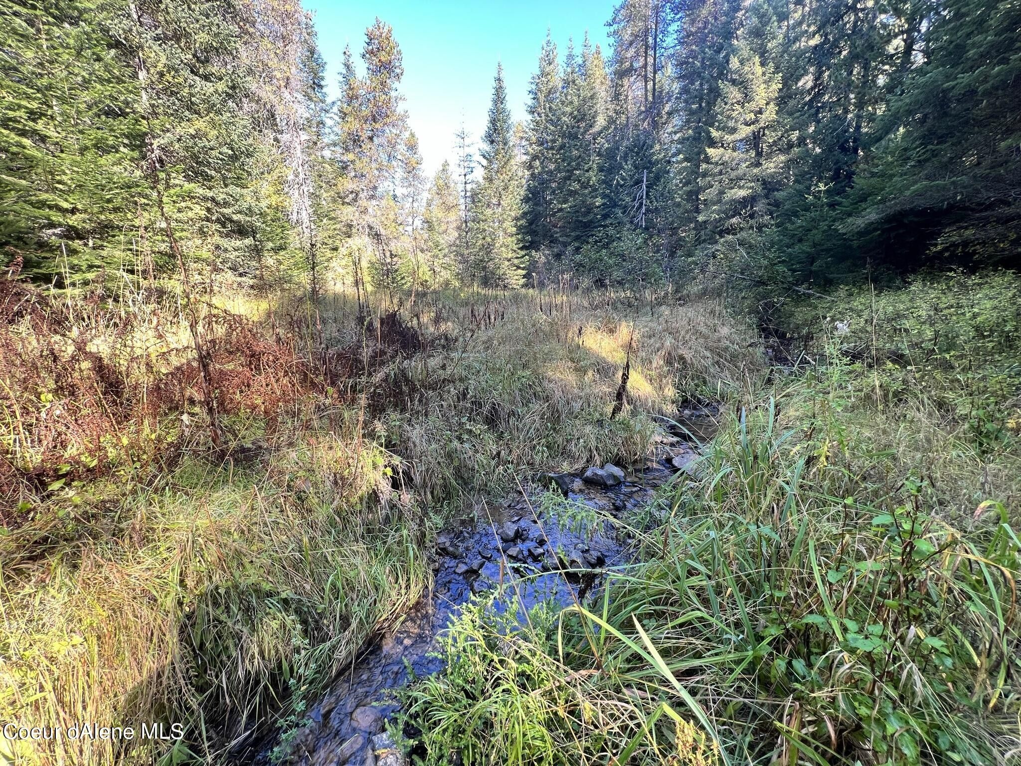 10 acres in Benewah County, Idaho