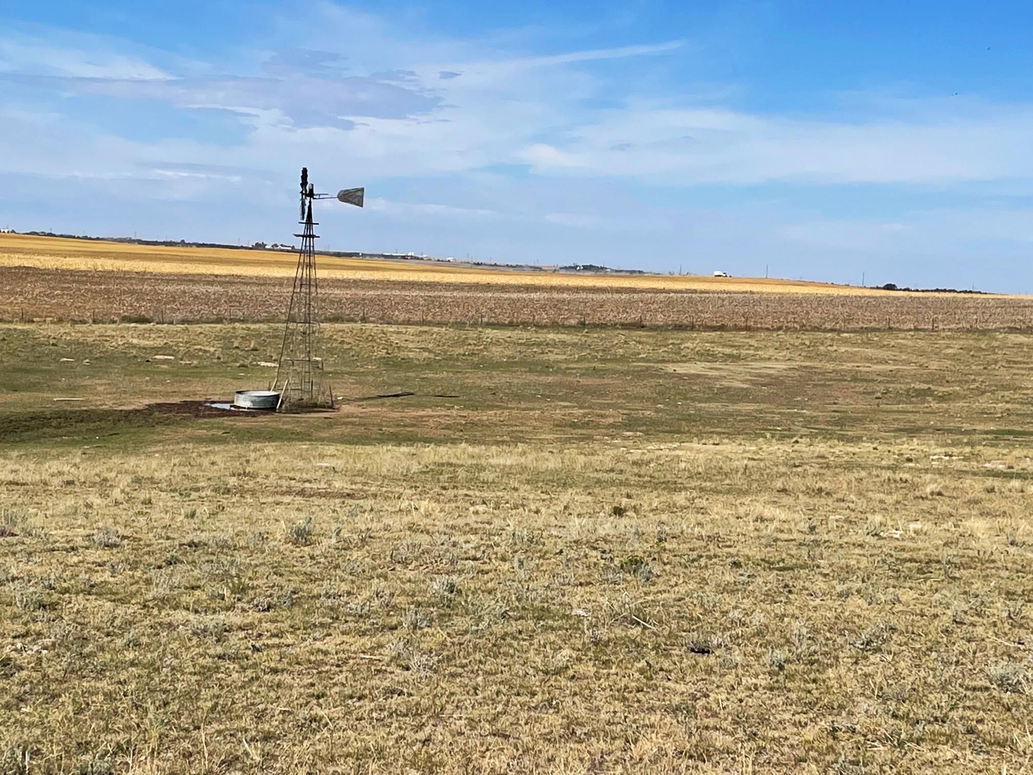 115 acres in Cheyenne County, Nebraska