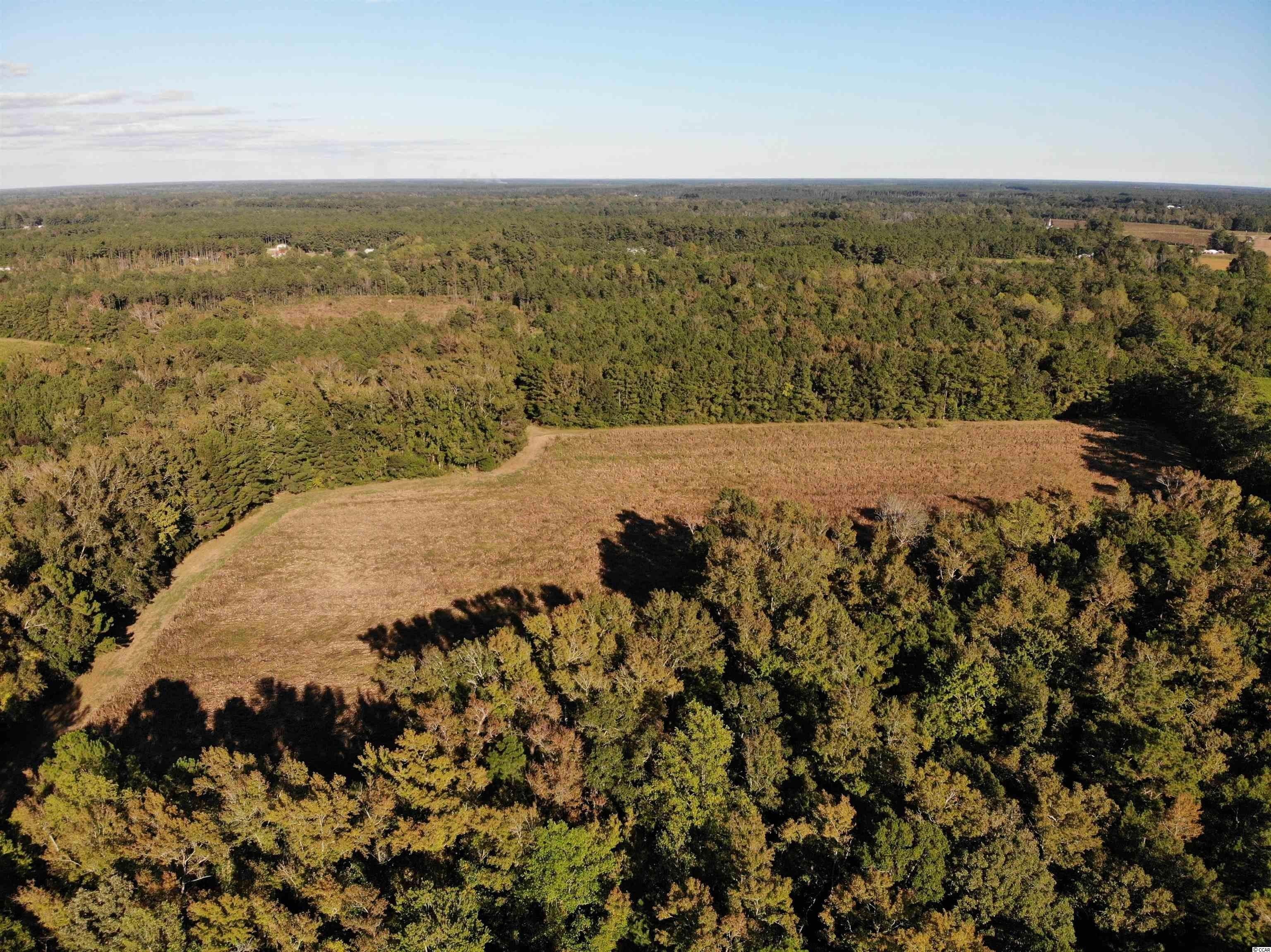 58 acres in Horry County, South Carolina
