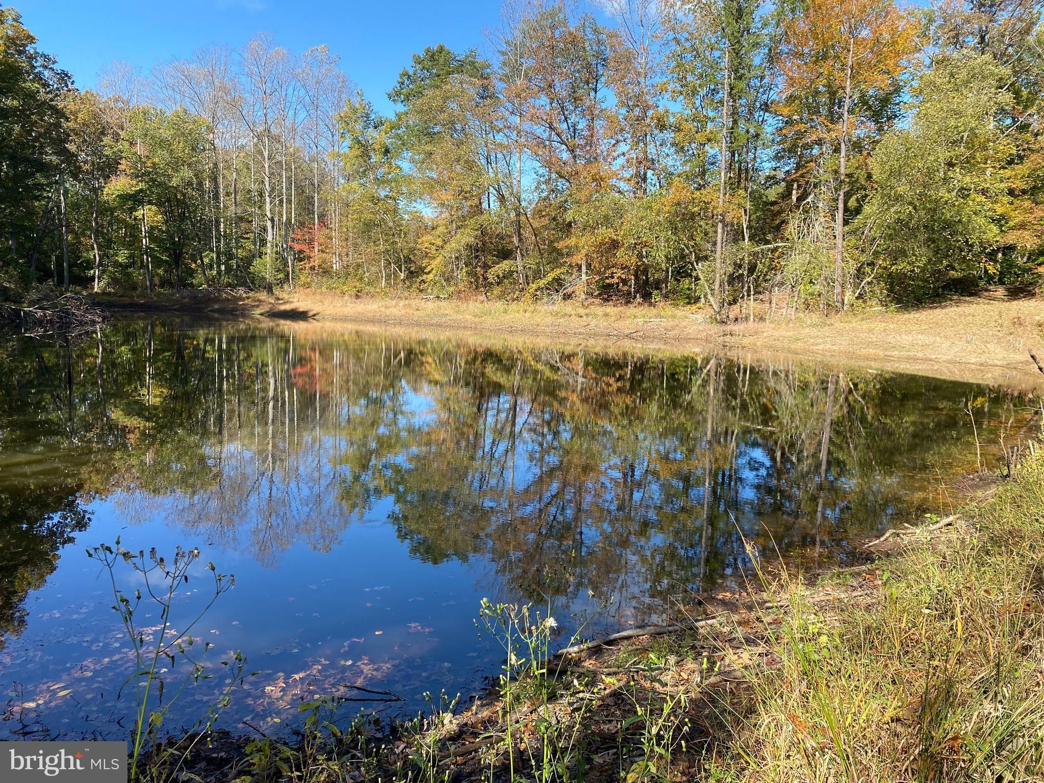 140 acres in Orange County, Virginia