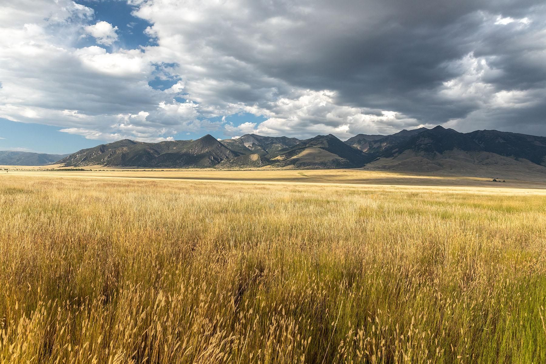 1,605 acres in Madison County, Montana